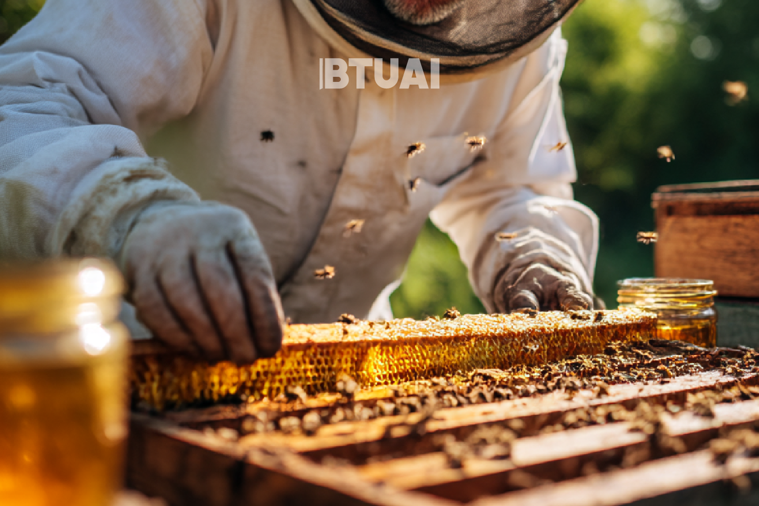 Georgia’s Honey Trade: Opportunities, Challenges and Future Strategies ...